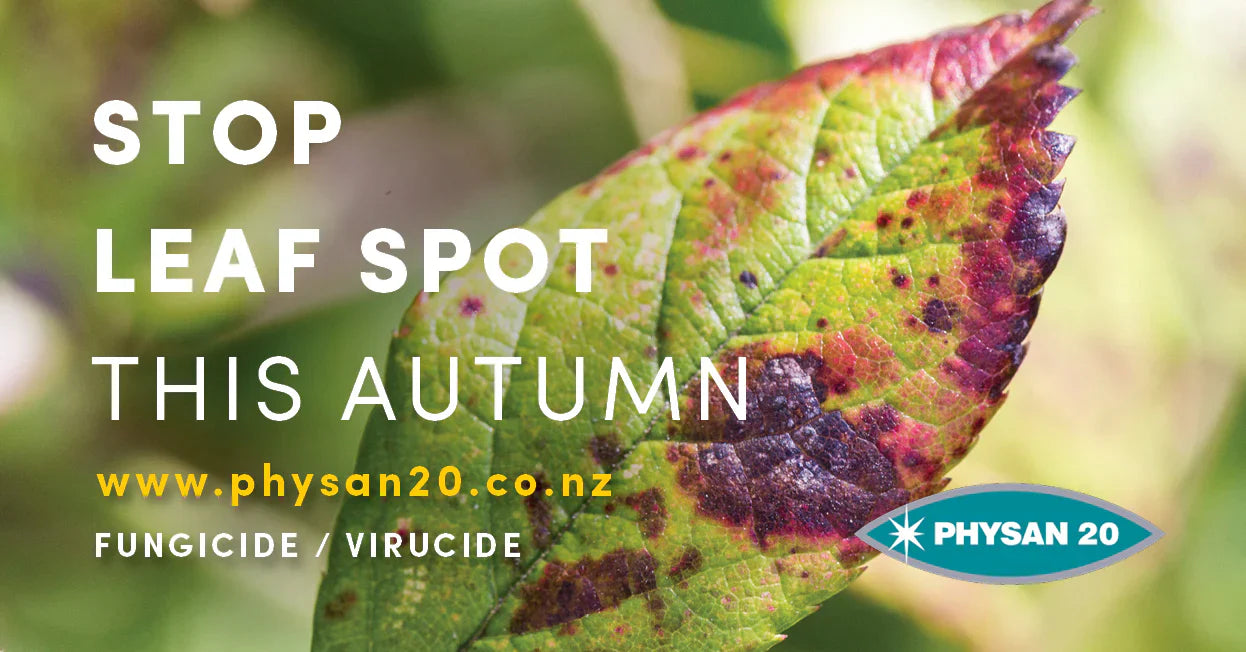 Prevent Leaf Spot this Autumn! – physan20